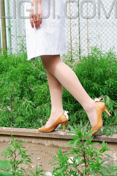 dsc 0017 | （福妹）主题相册